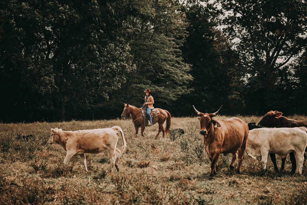 ZK Ranches - Springfield, TN