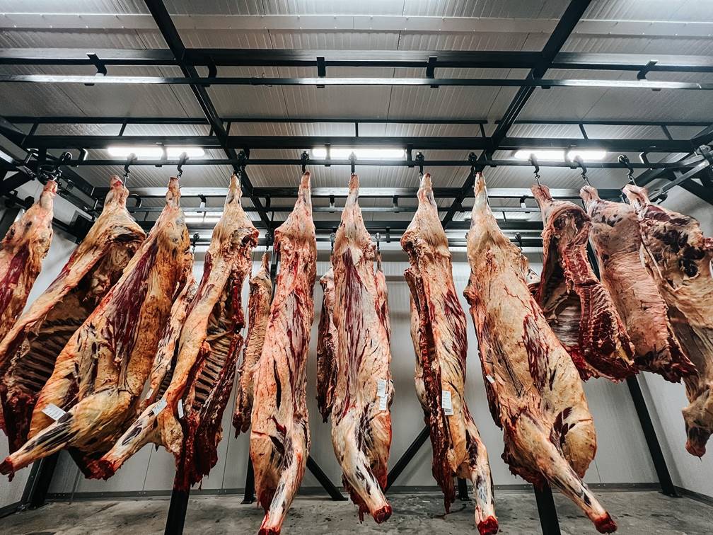 ZK Ranches - Springfield, TN