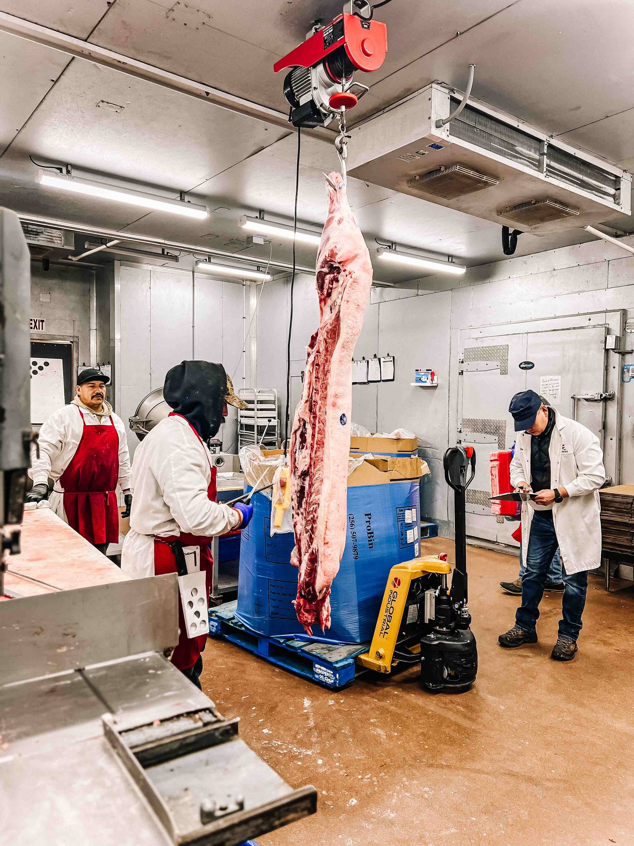 ZK Ranches - Springfield, TN